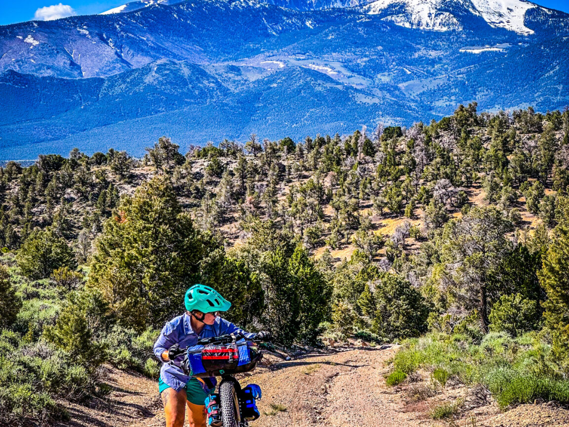 Schell Kick Your Ass - Bikepacking Roots